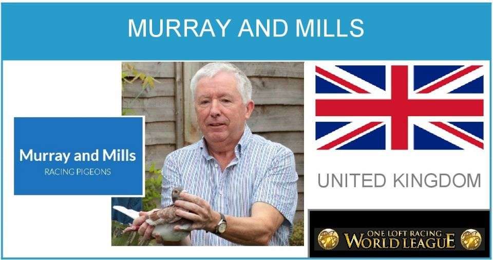 MURRAY AND MILLS - ONE LOFT RACING