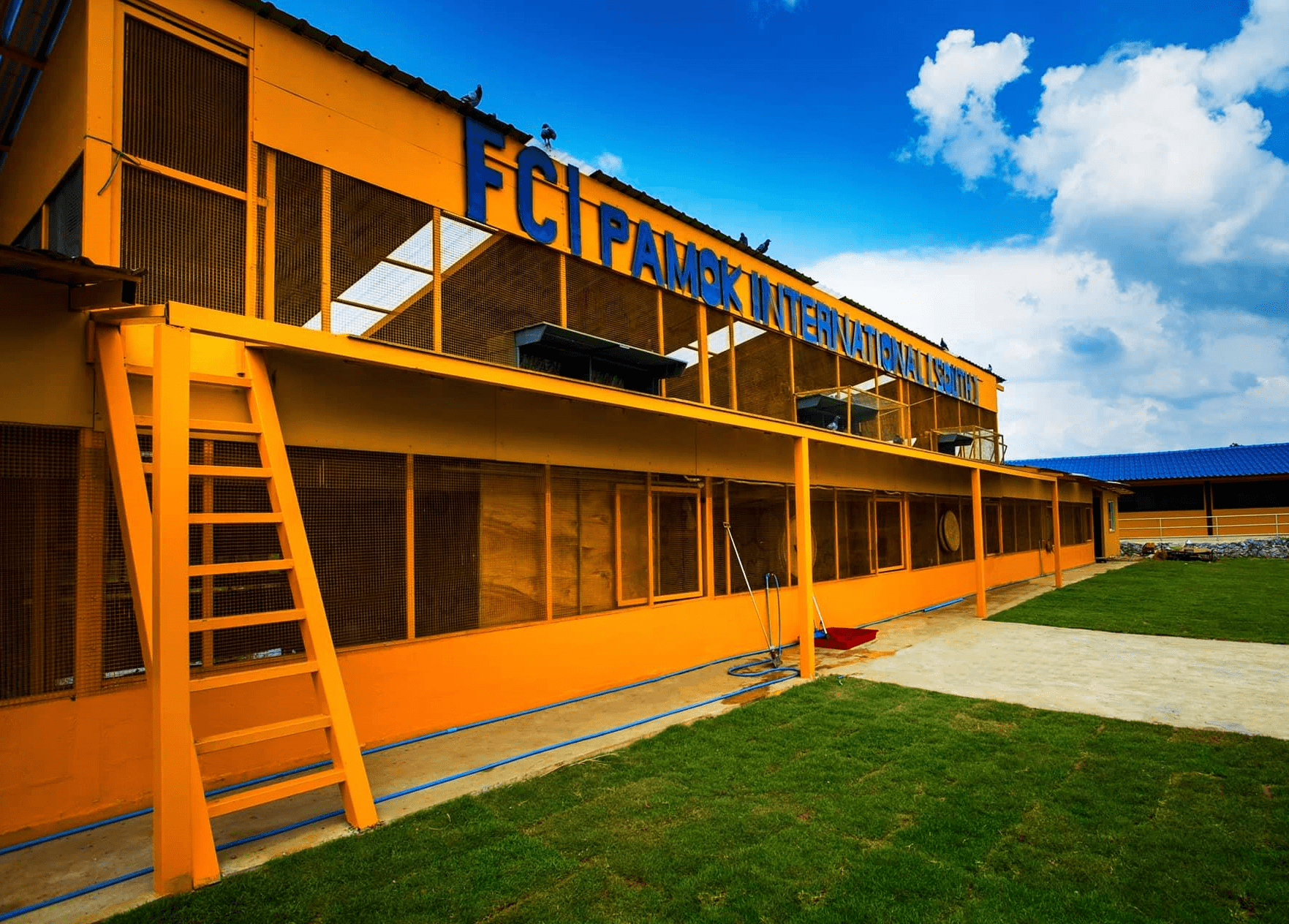 FCI PaMok Thailand 2022. Pre Toss 4th (380 km.) - ONE LOFT RACING