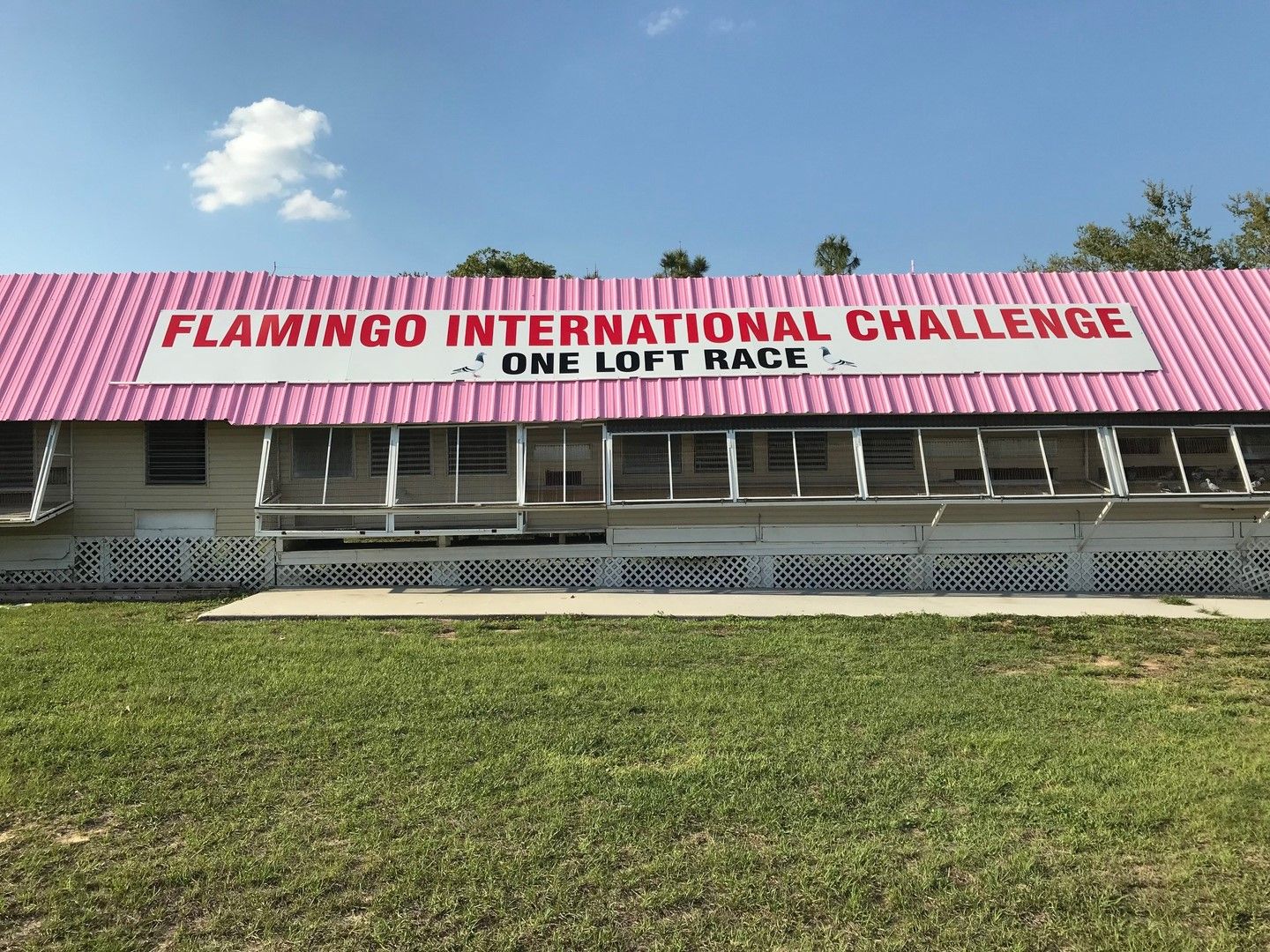Flamingo International Challenge 2021. Inventory 6/28 - ONE LOFT RACING
