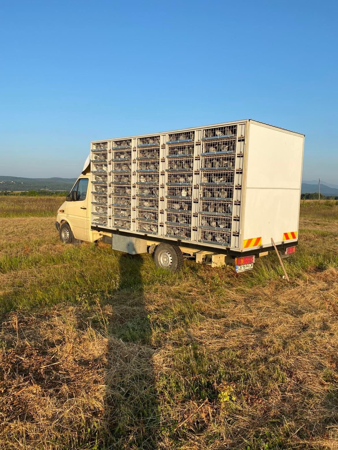 One Loft Race Sofia 2022. Training 78 km - ONE LOFT RACING