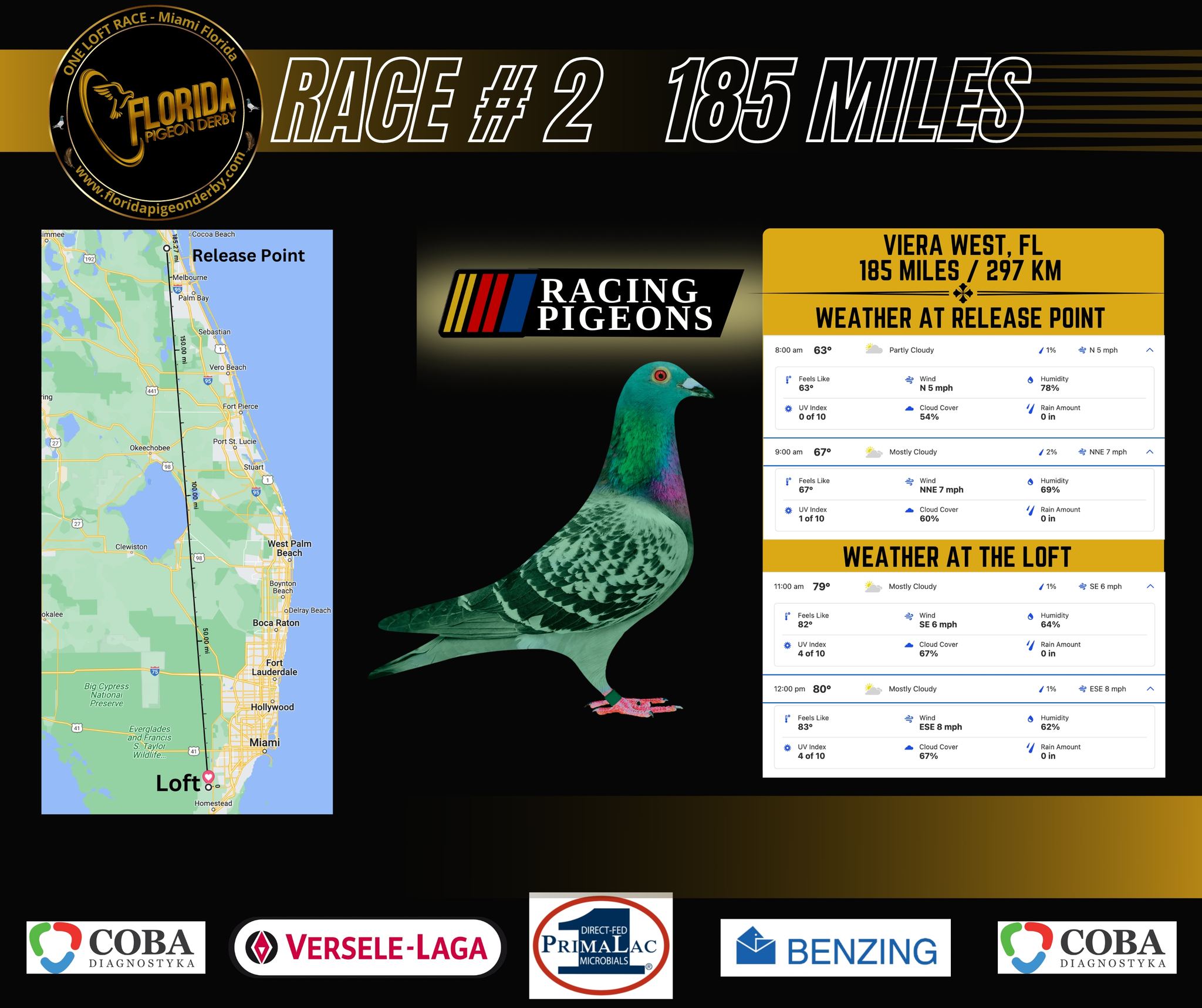 FLORIDA PIGEON DERBY 2022. RACE 2 - ONE LOFT RACING